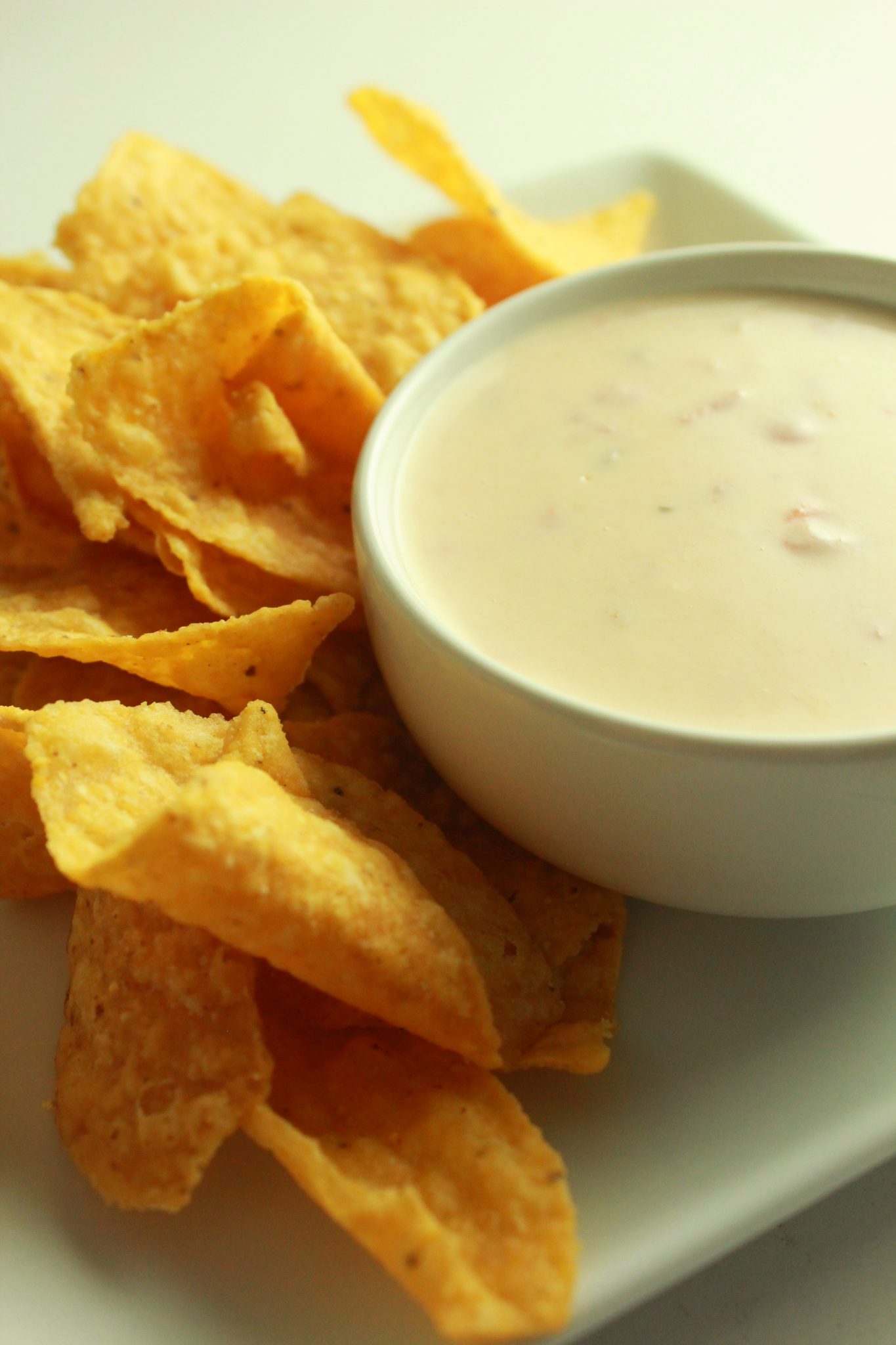 Quick Queso Blanco - Practically Homemade
