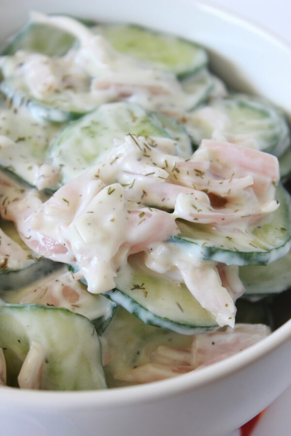Cucumber and Pickled Shallot Salad - Practically Homemade