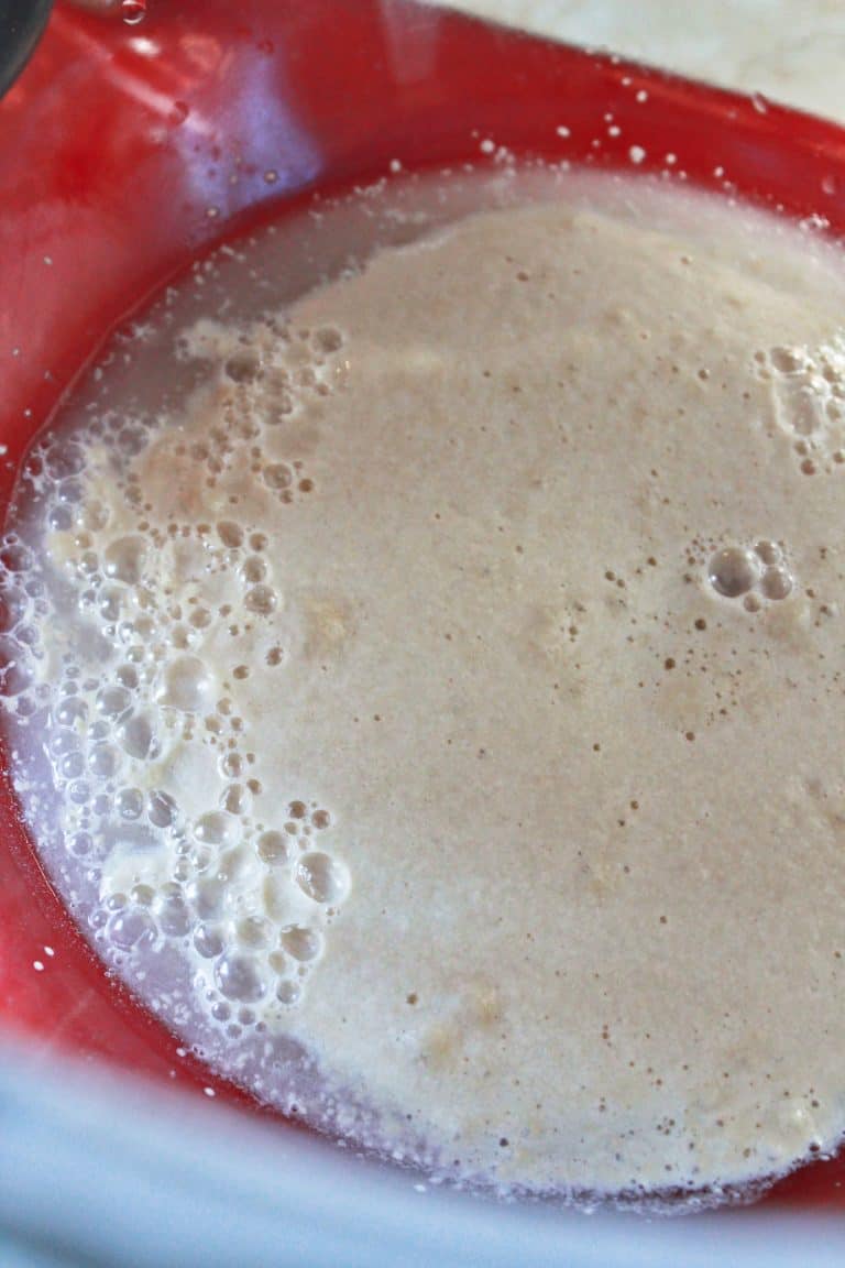 One Rise French Bread - Practically Homemade