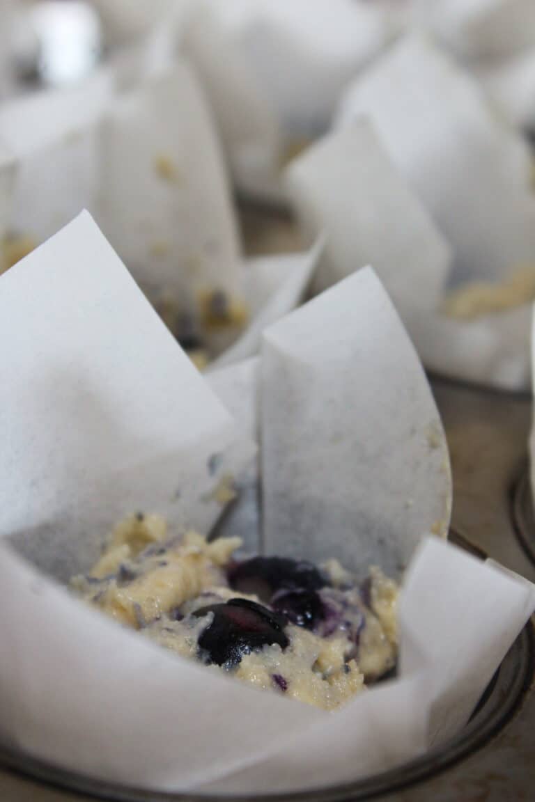 Blueberry Poppy Seed Crumb Muffins | Practically Homemade