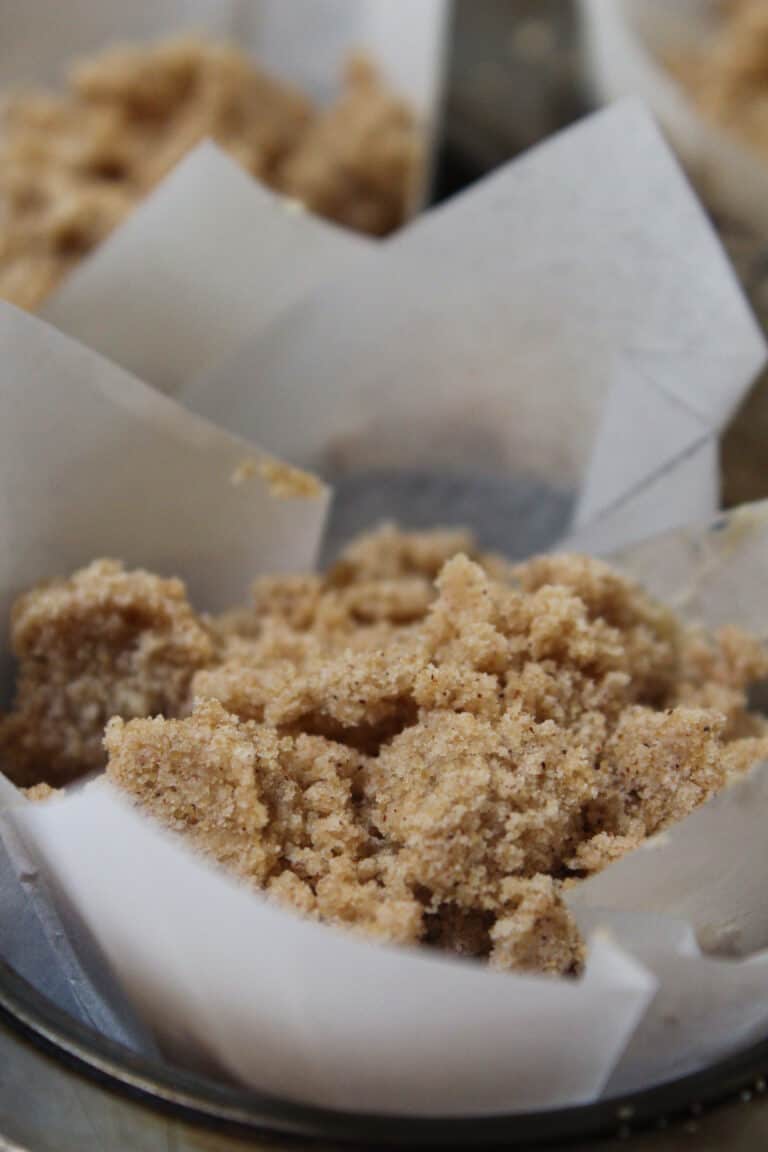 Blueberry Poppy Seed Crumb Muffins | Practically Homemade