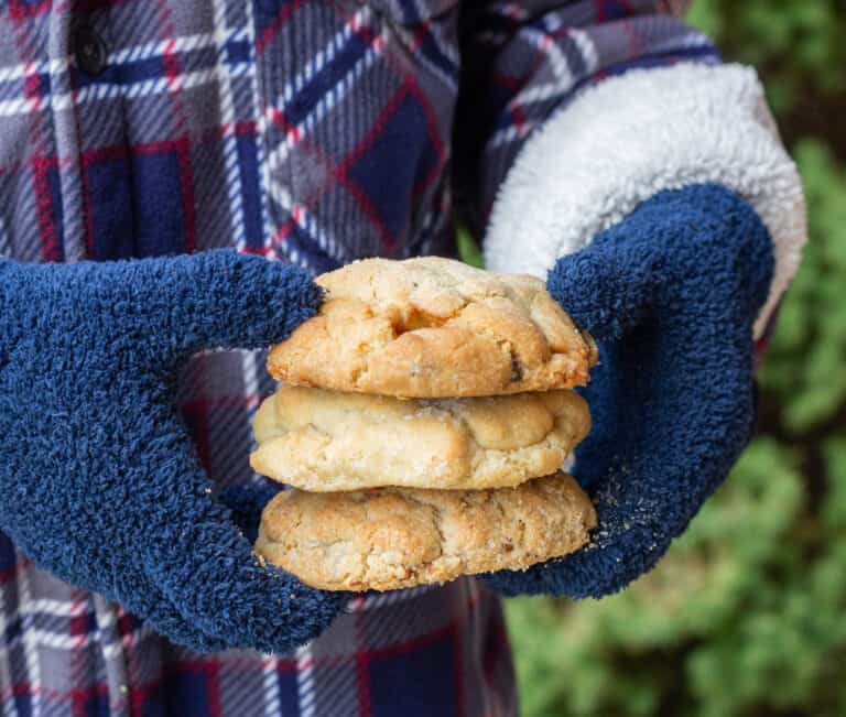 Top 5 Best Mail Order Cookies for Gifts - Practically Homemade
