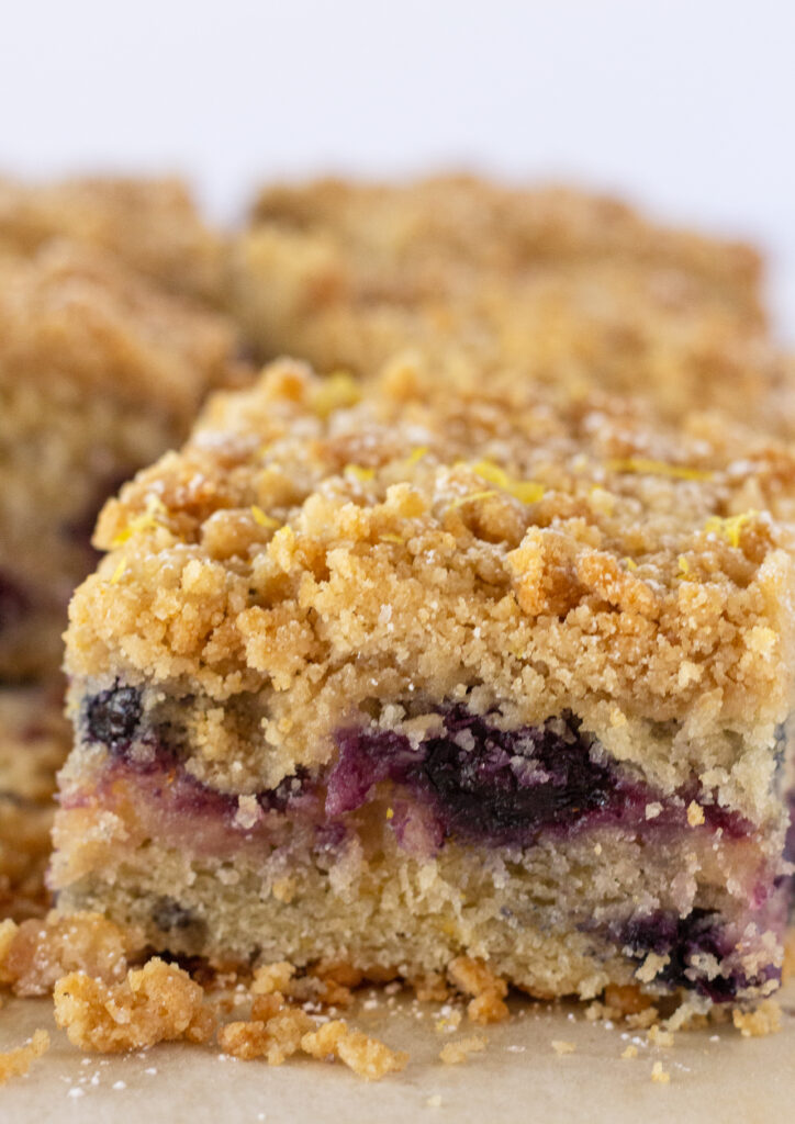 Easy Lemon Blueberry Crumb Cake Recipe | Practically Homemade