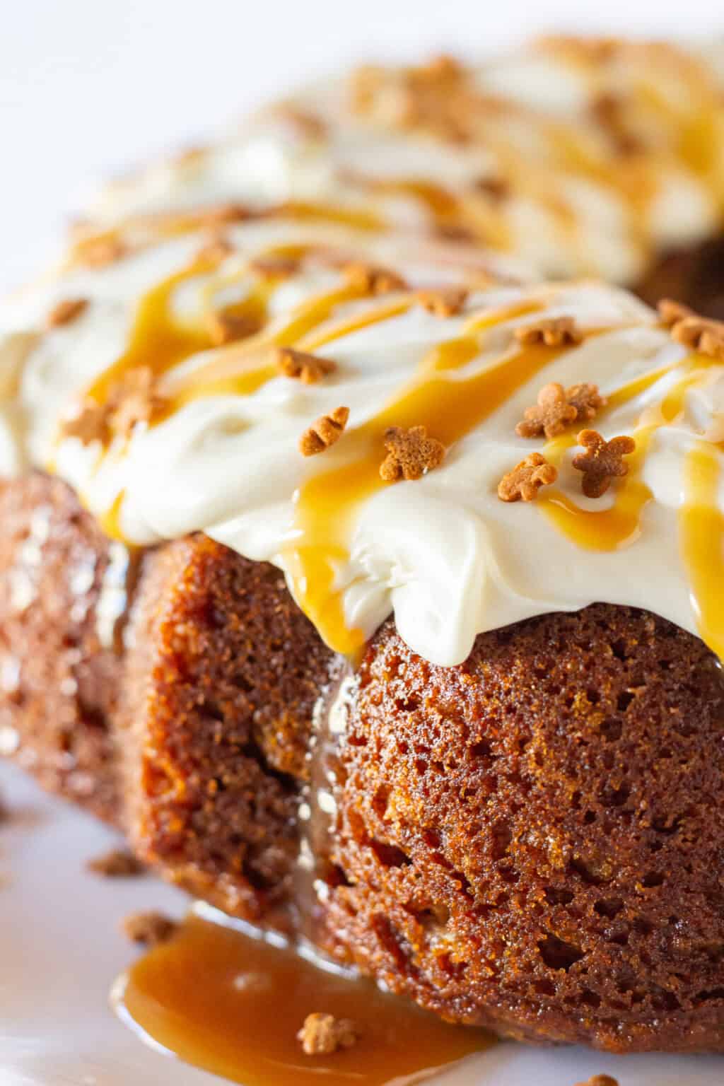Easy Gingerbread Bundt Cake Recipe with a Cake Mix - Practically Homemade