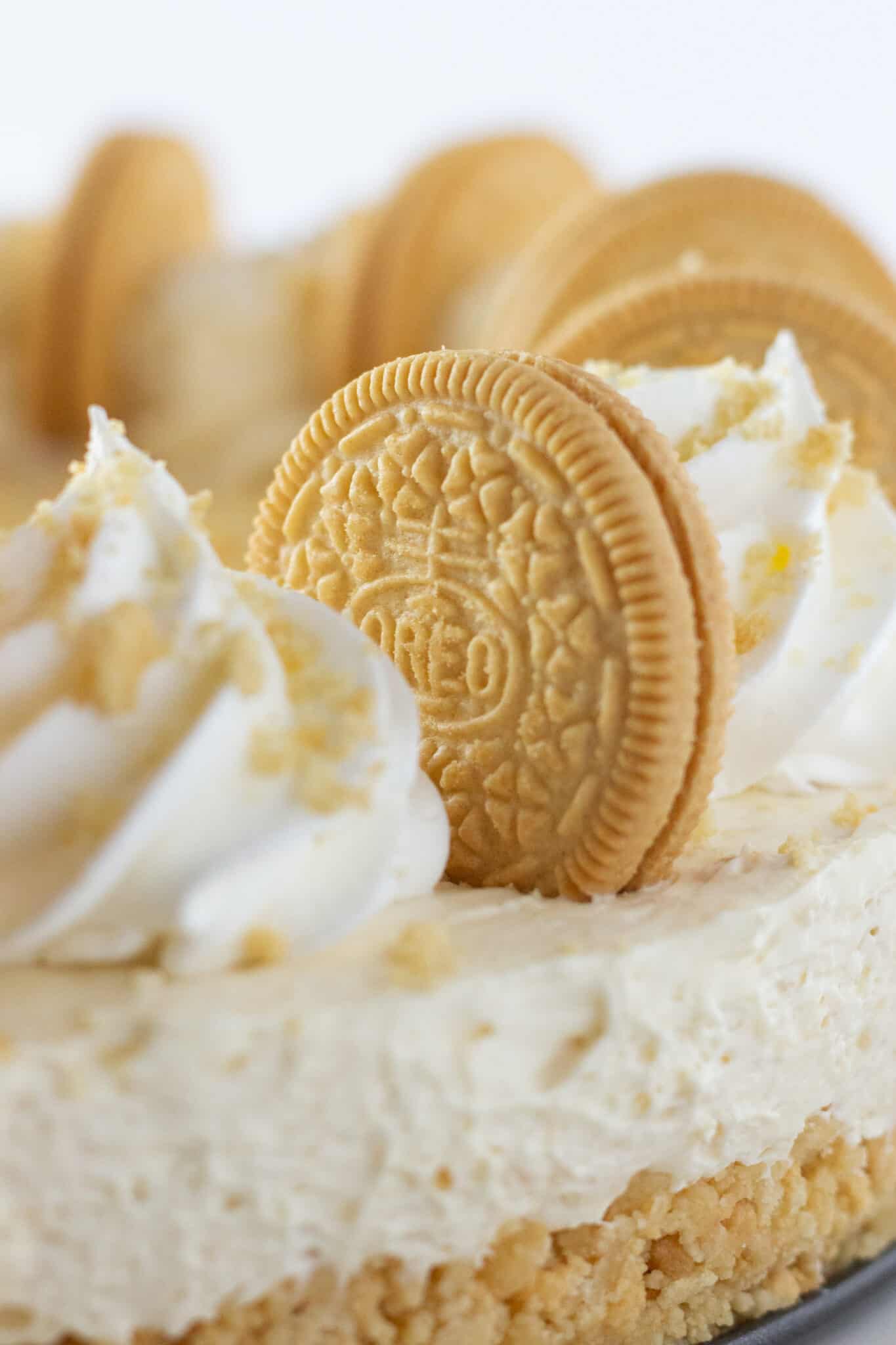 Easy Golden Oreo No Bake Cheesecake - Practically Homemade