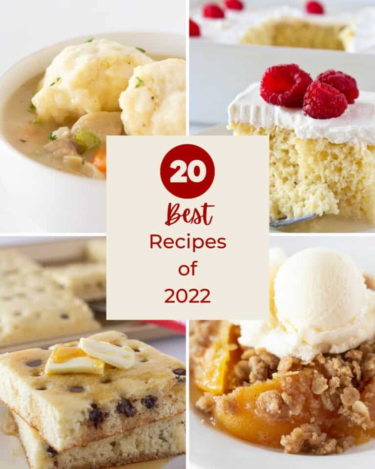 The Best Recipes of 2022 - Practically Homemade