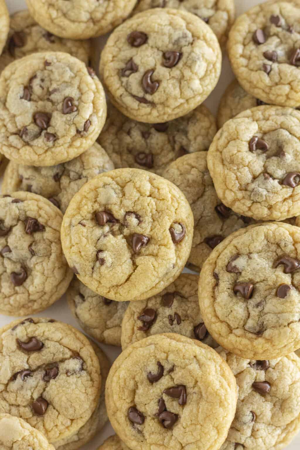 Mini Chocolate Chip Cookies | Practically Homemade