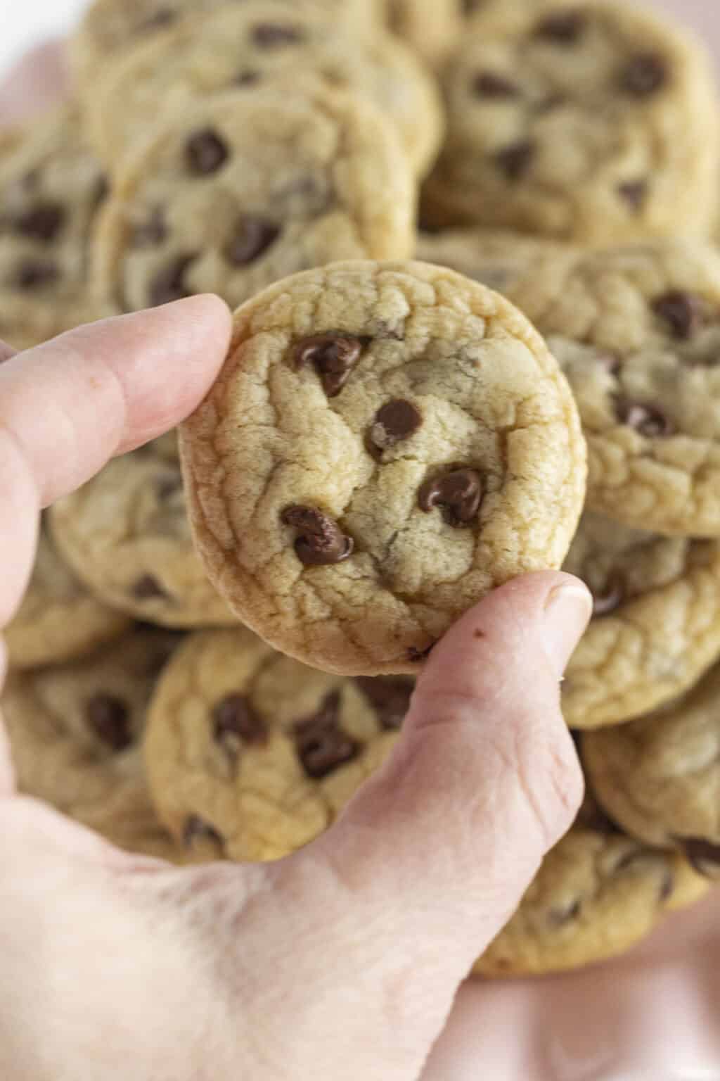 Mini Chocolate Chip Cookies Recipe Pactically Homemade