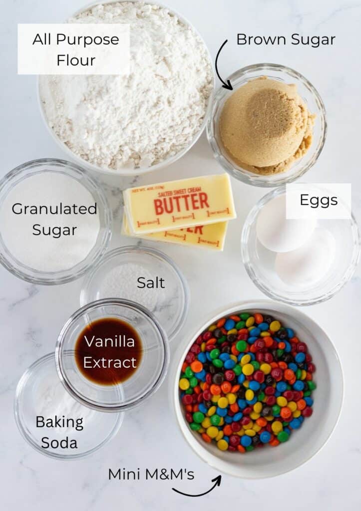 Homemade M&M Cookie Ice Cream Sandwich - Practically Homemade