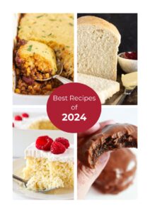 The Best Recipes of 2024 - Practically Homemade