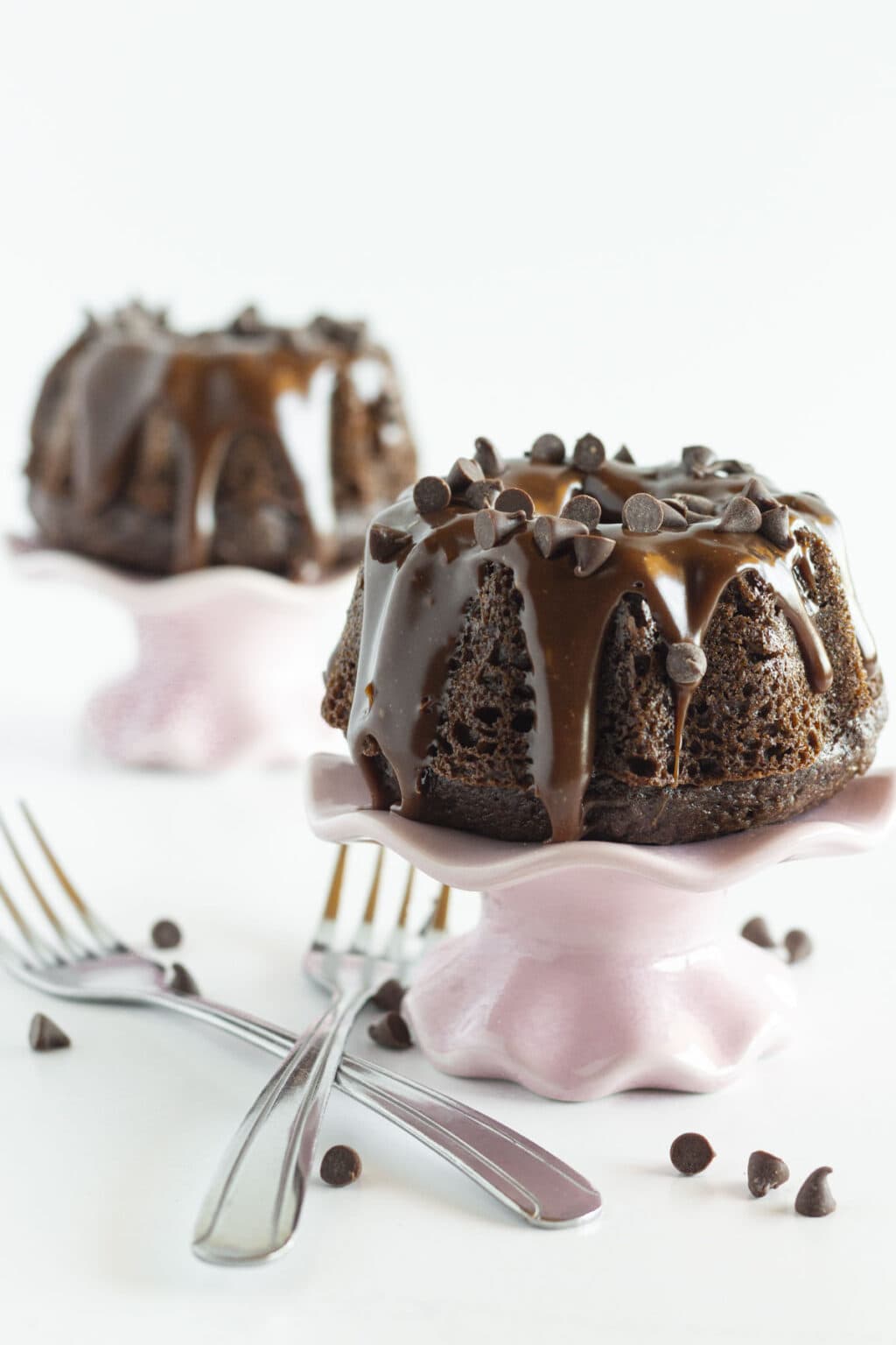 Easy Mini Chocolate Bundt Cakes with a Cake Mix - Practically Homemade