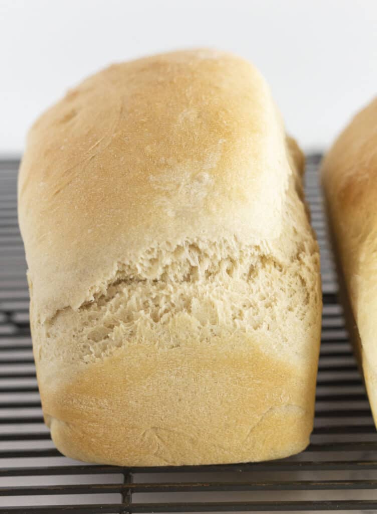 Fast Bread Recipe - Practically Homemade