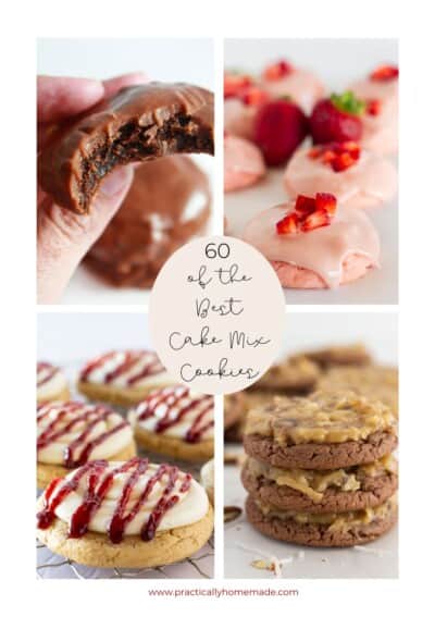 The Best Cake Mix Cookies (60+ Easy Recipes for Every Flavor ...