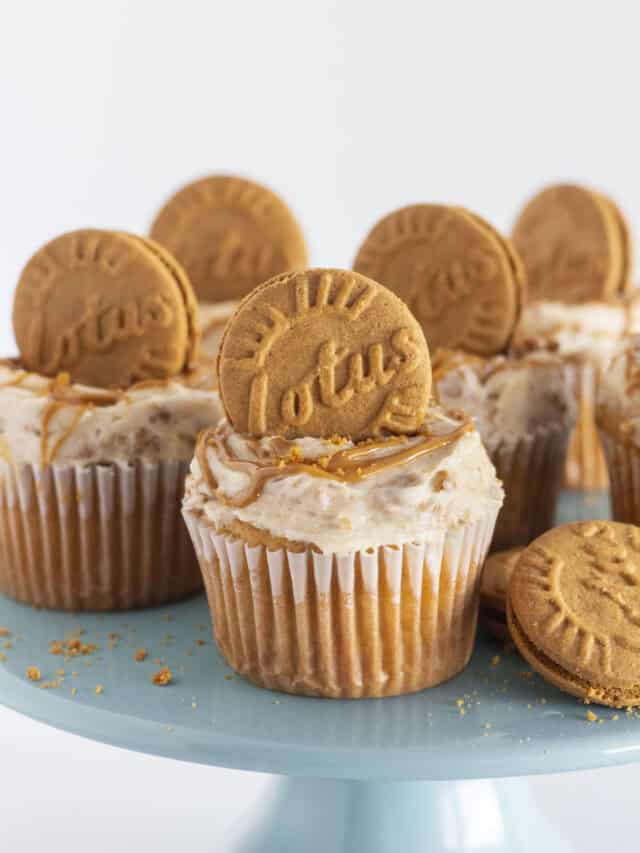 The Best Biscoff Buttercream Frosting Recipe - Practically Homemade